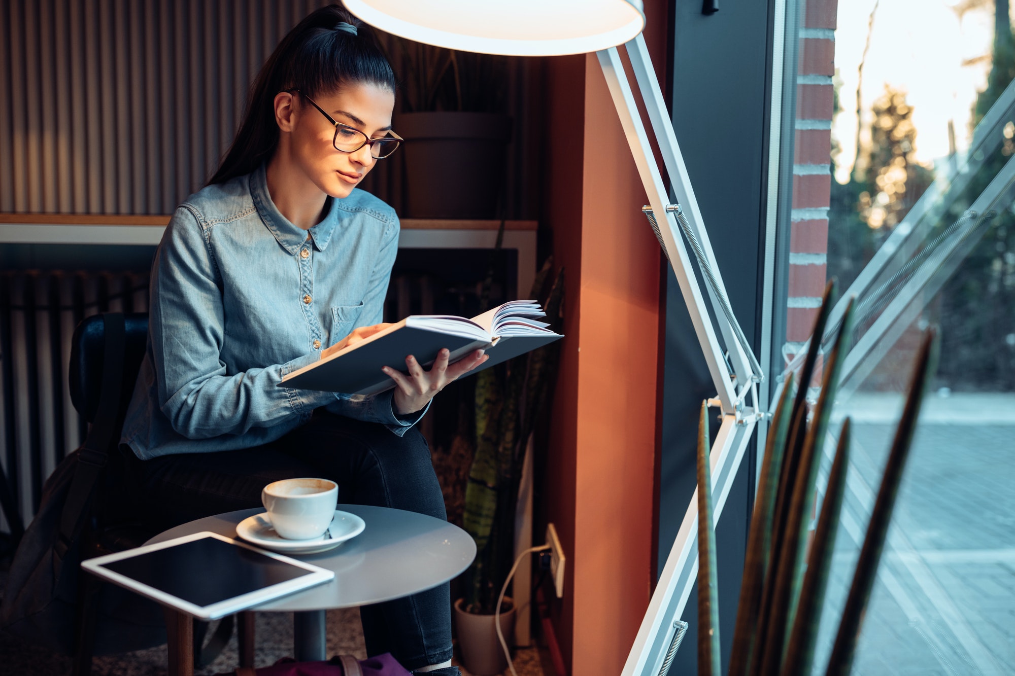 Oldtampabookcompany, Discover the book world again